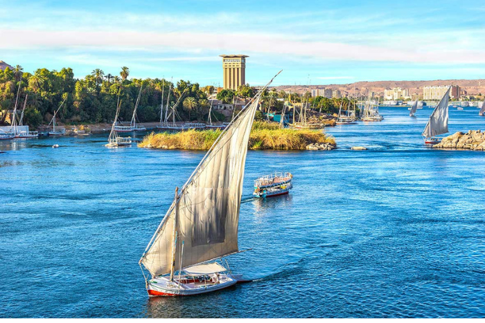 Bird Watching Tour in Aswan – Unique Nature Experience